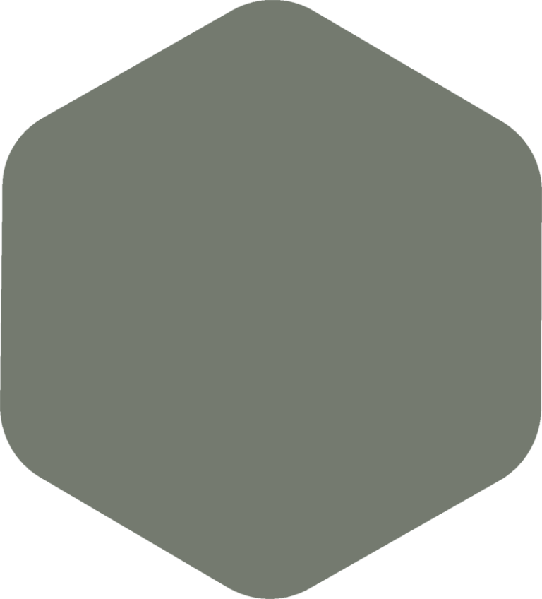 Certification & Bid Readiness - GI Advisory